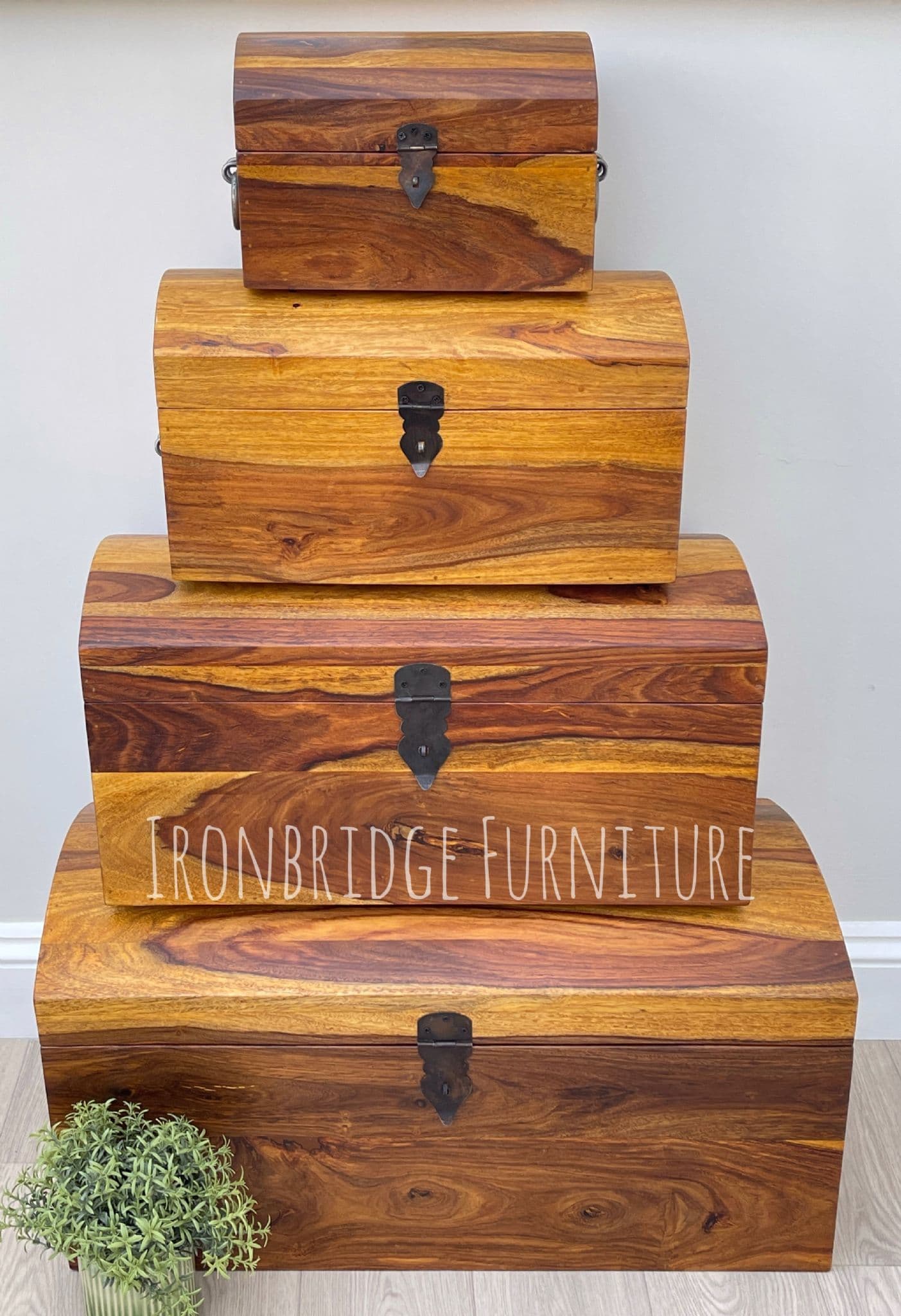 SHEESHAM WOOD TREASURE CHEST TRUNKS - 4 sizes