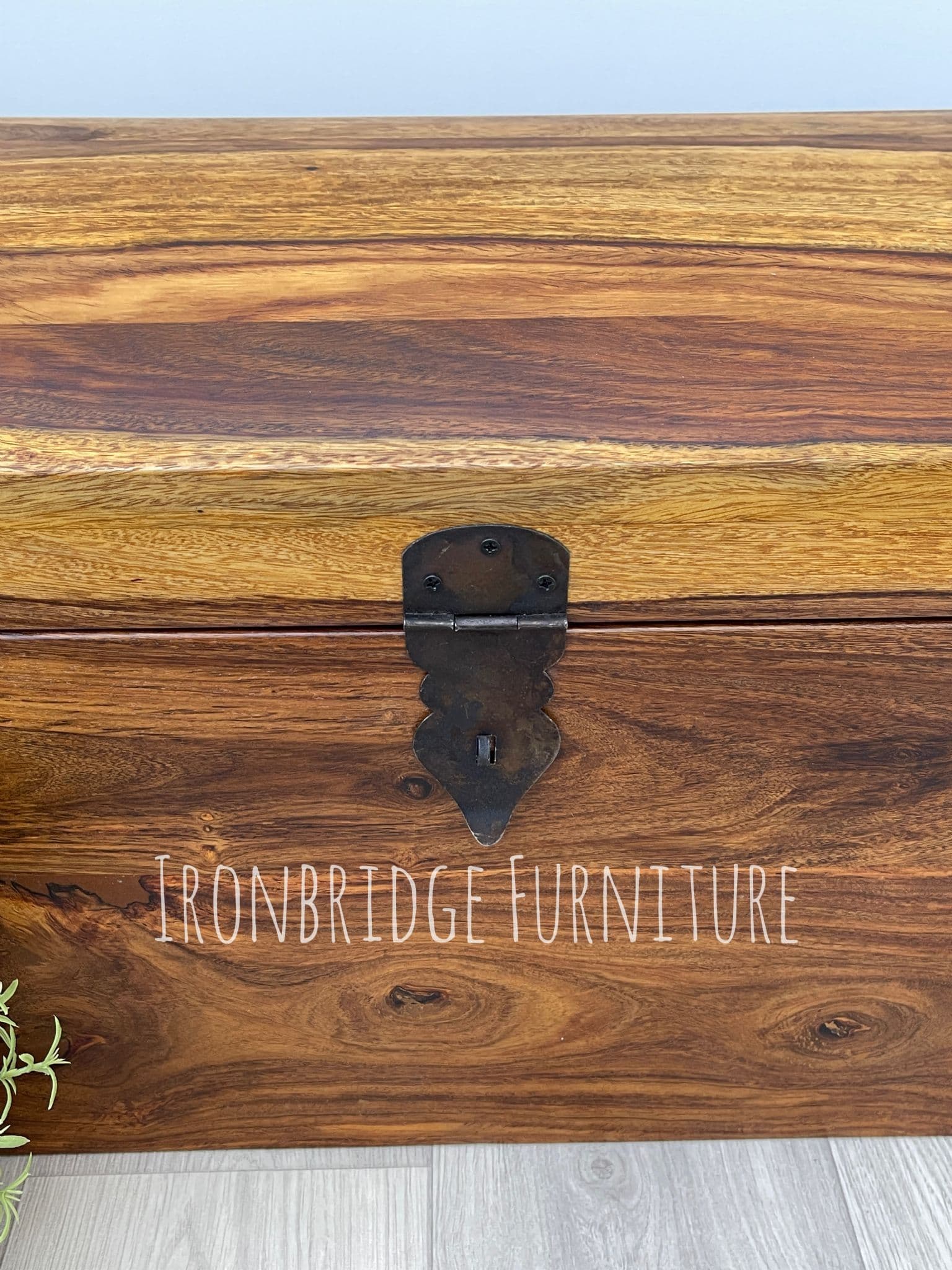 SHEESHAM WOOD TREASURE CHEST TRUNKS - 4 sizes