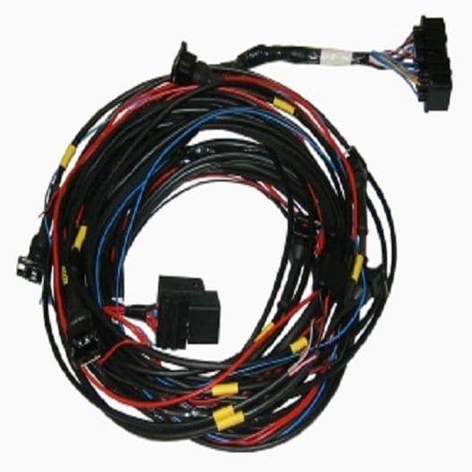 JENVEY HERITAGE 45mm Throttle Bodies And Omex 600 ECU Kit - Ford X/Flow ...