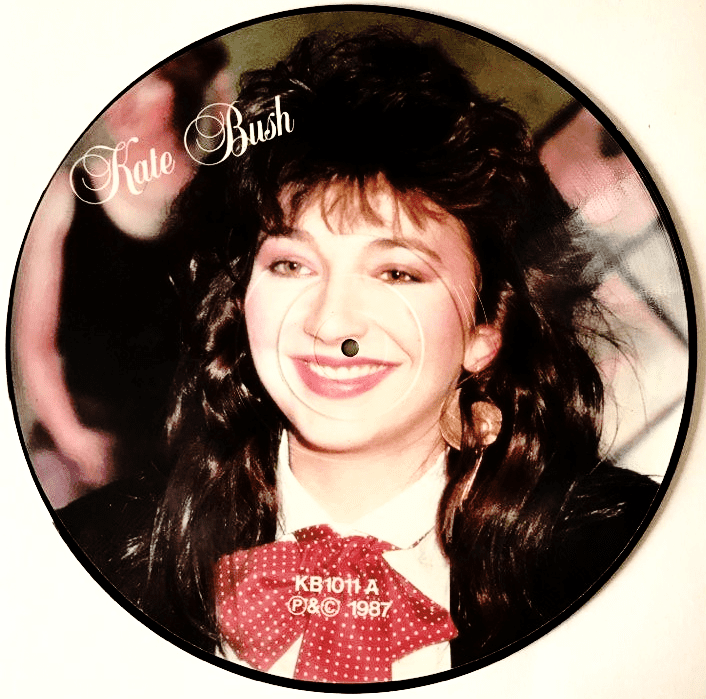Kate Bush - Limited Edition Interview Picture Disc LP G-VG/VG