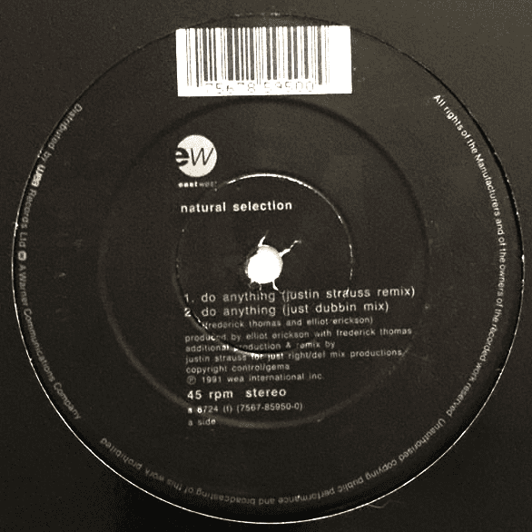 Natural Selection - Do Anything 12" VG /NM