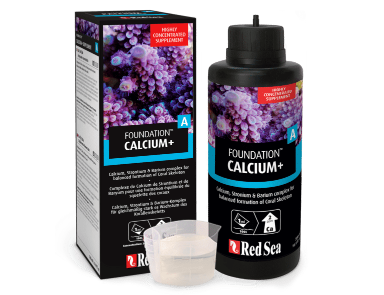 Red Sea Foundation A Calcium
