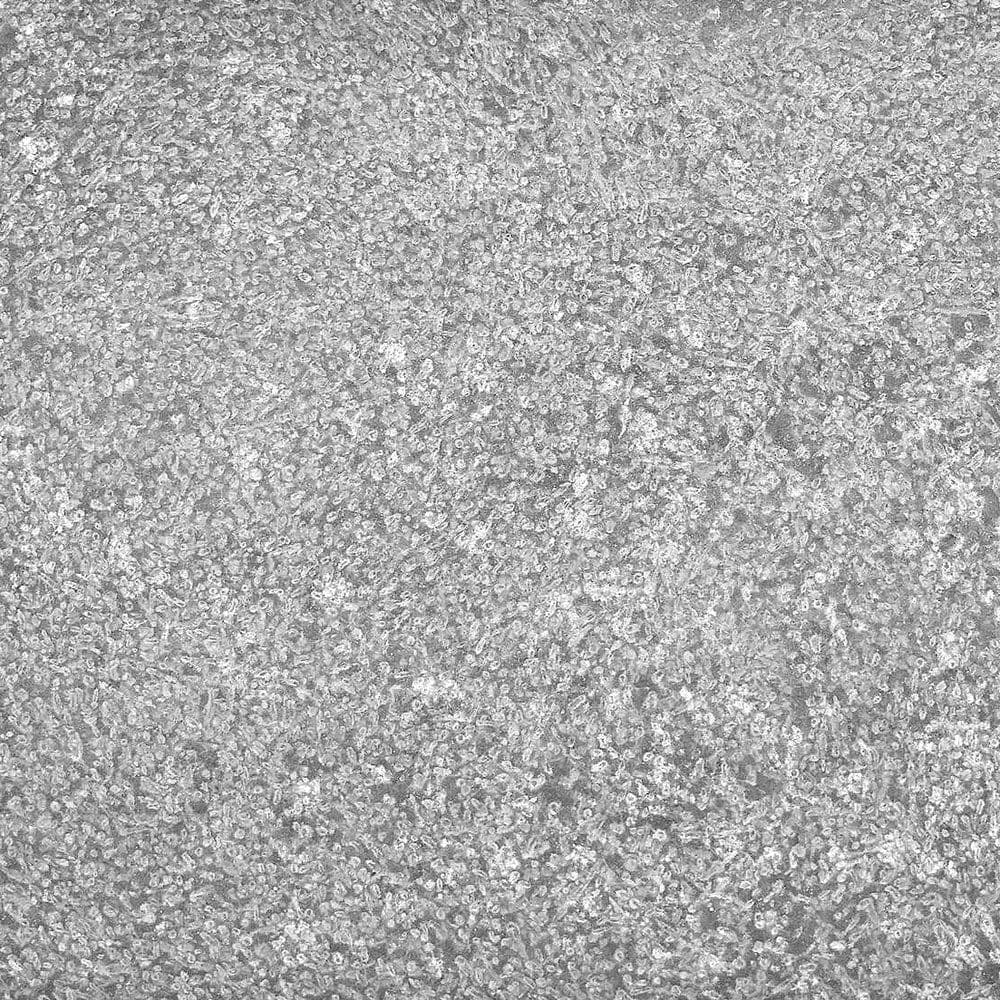 Rotary Hammer Surface Texturing Plates - M14