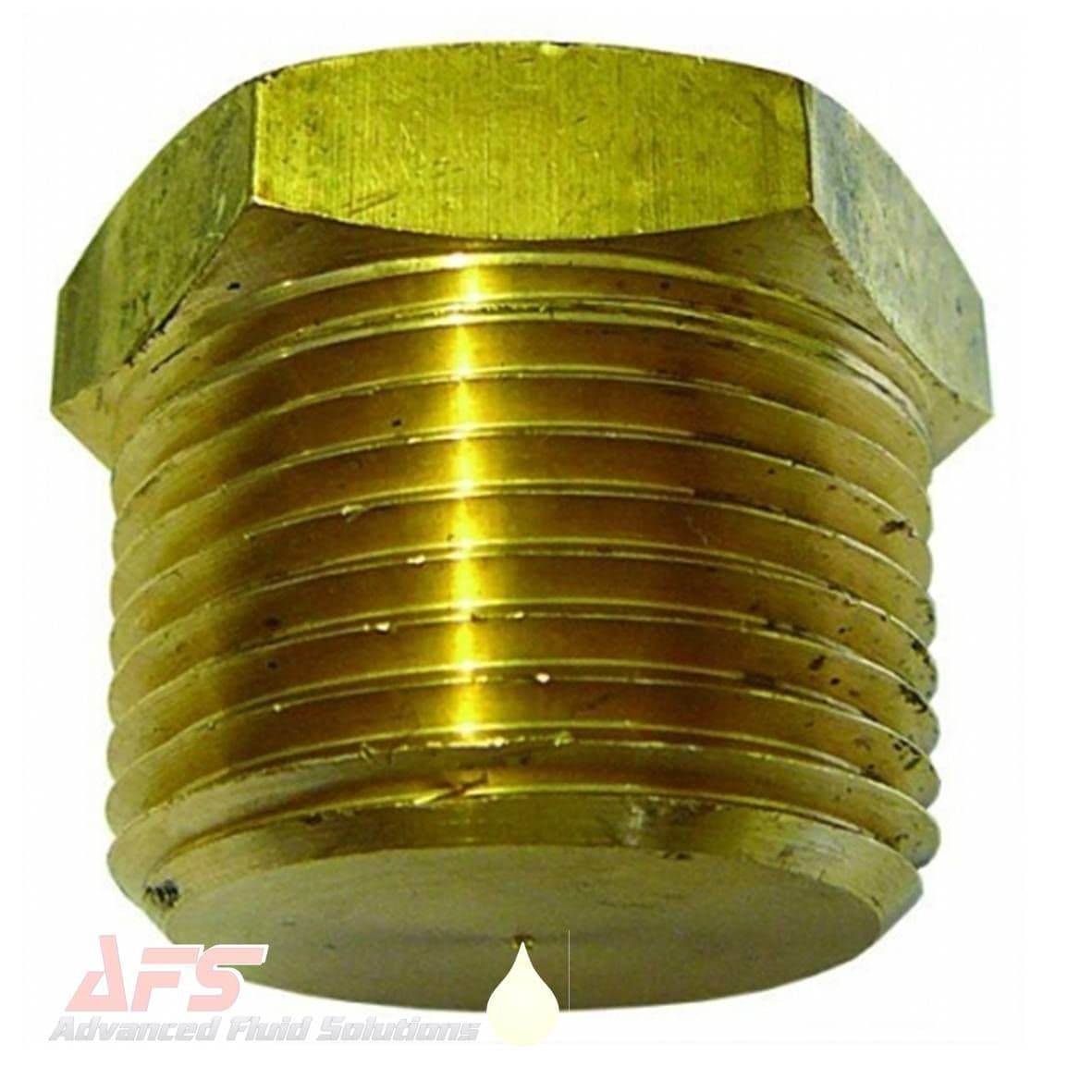 1 1/4 Brass Hollow BSPT Hex Plug BSP