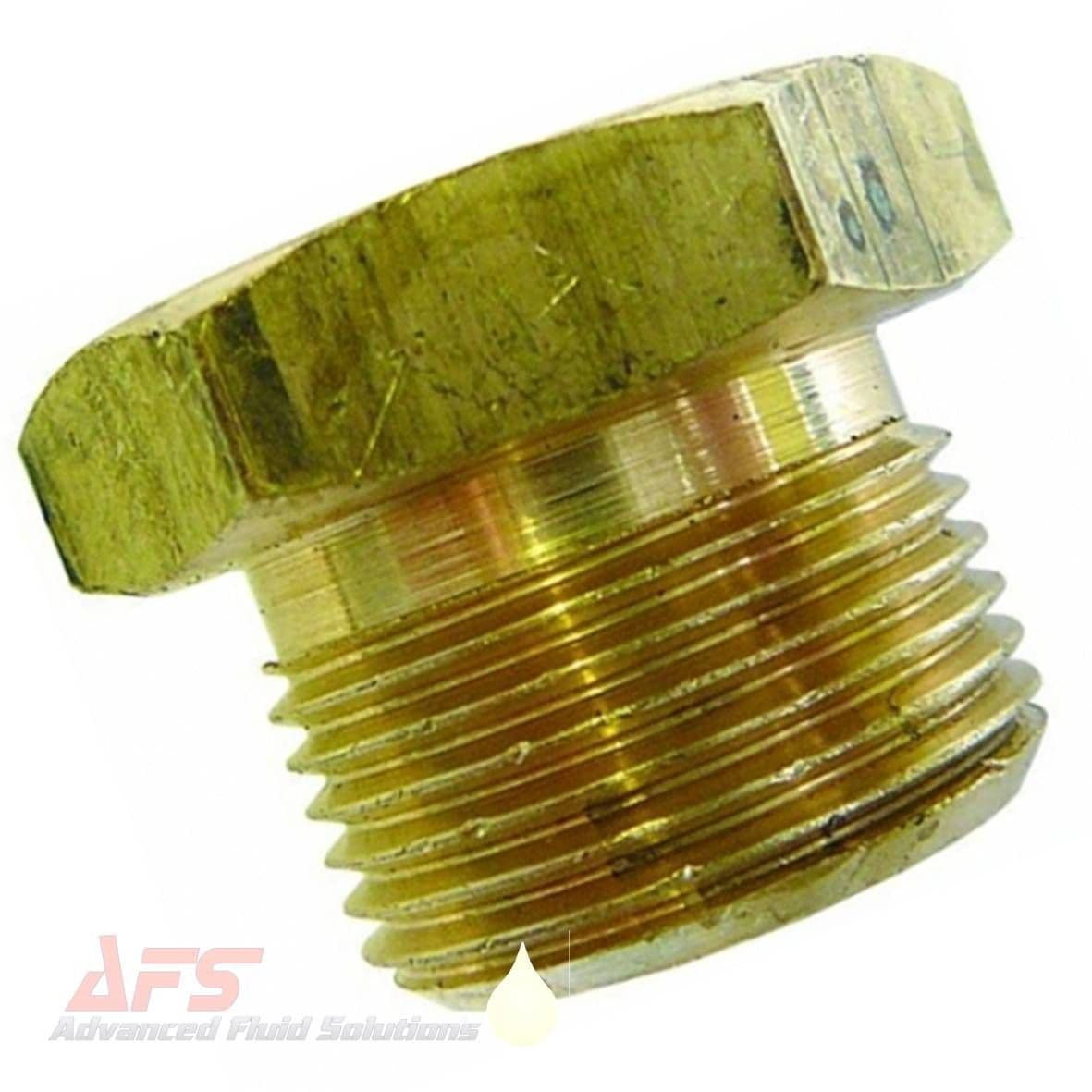 3/4 Brass Solid BSPP Hex Plug BSP