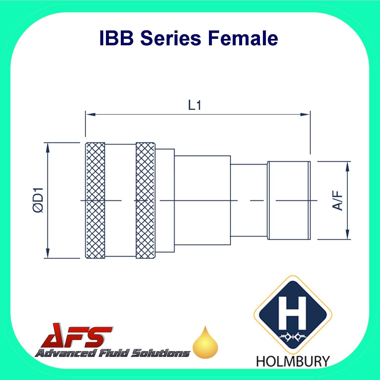 Holmbury 1/8 BSPP Brass ISO B Female Carrier (1/8 Body) Quick Release ...