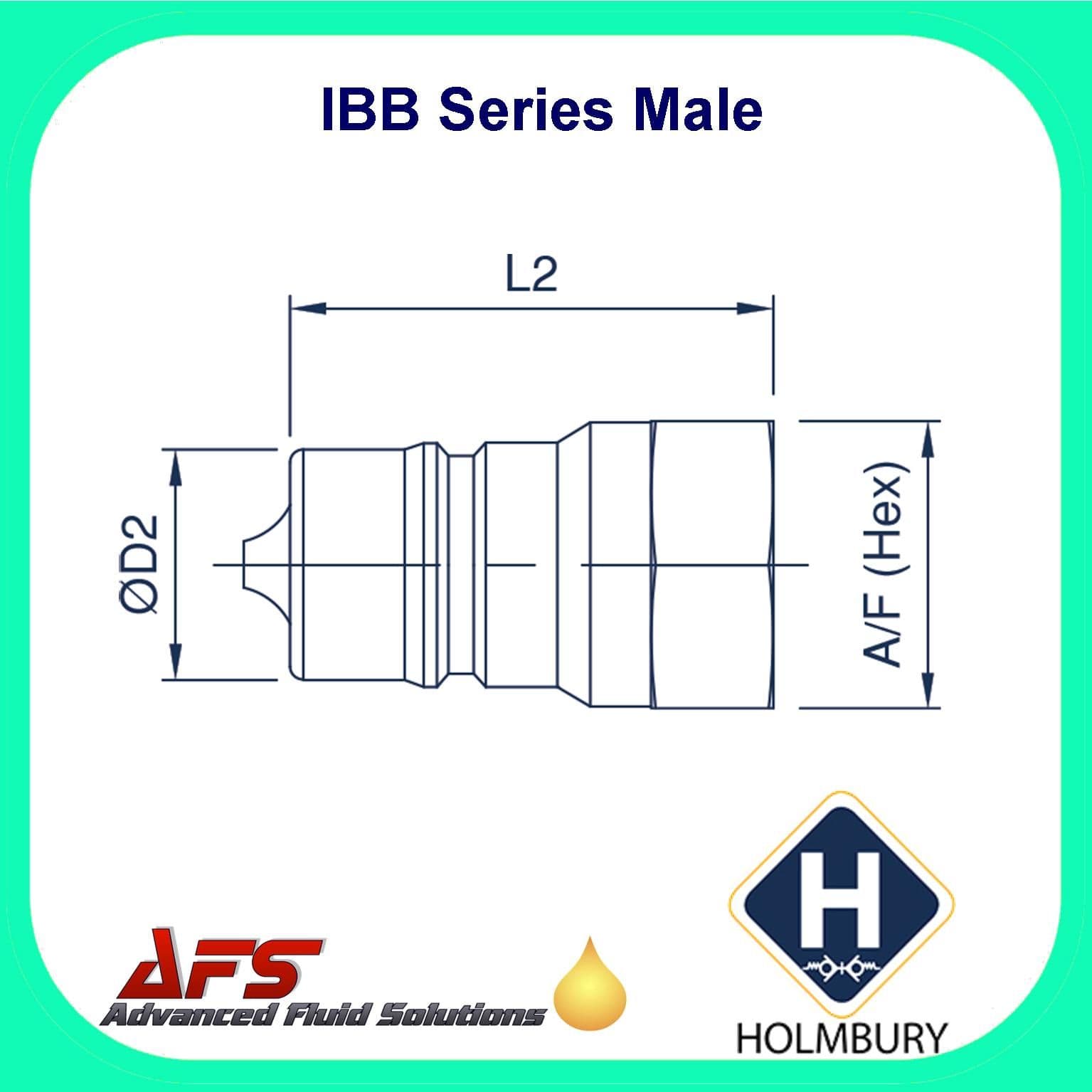 Holmbury 3/8 BSPP Brass ISO B Male Probe (3/8 Body) Quick Release Coupling