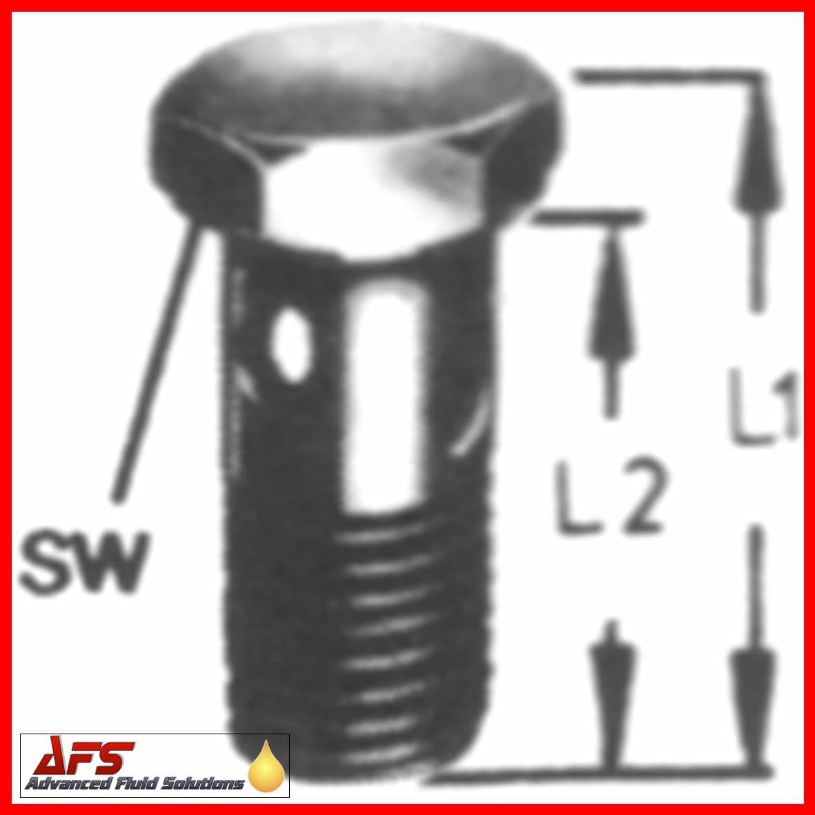 M8 8mm x 1 Metric Banjo Bolt Single Fitting