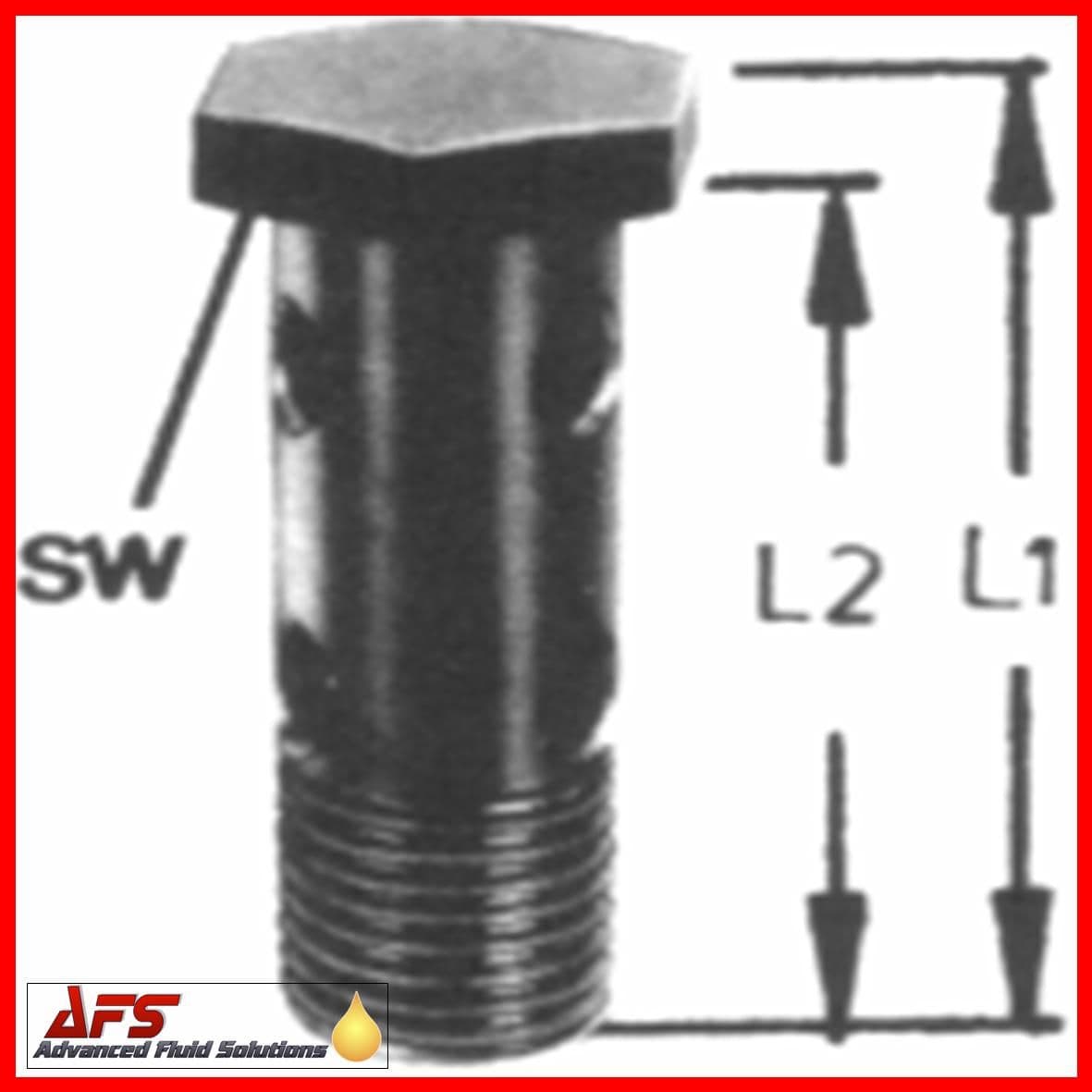M8 8mm x 1 Metric Double Banjo Bolt Long Fitting