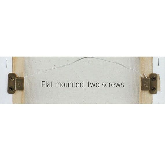 HangZ Easy Wire Tie 2 Hole Clamp Screws