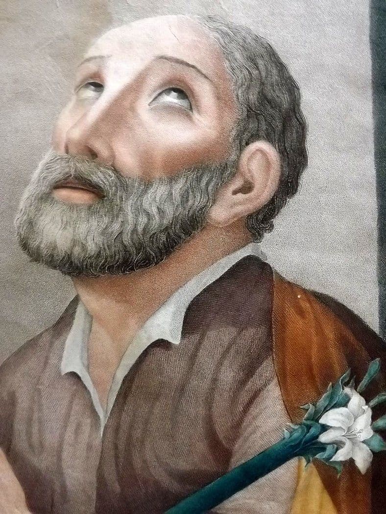 Saint Joseph Flowering Rod | Best Flower Site