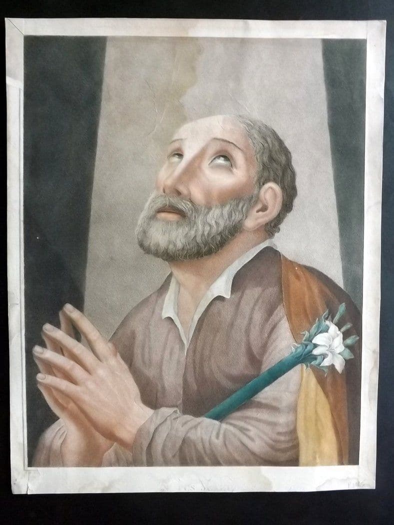 Saint Joseph Flowering Rod | Best Flower Site