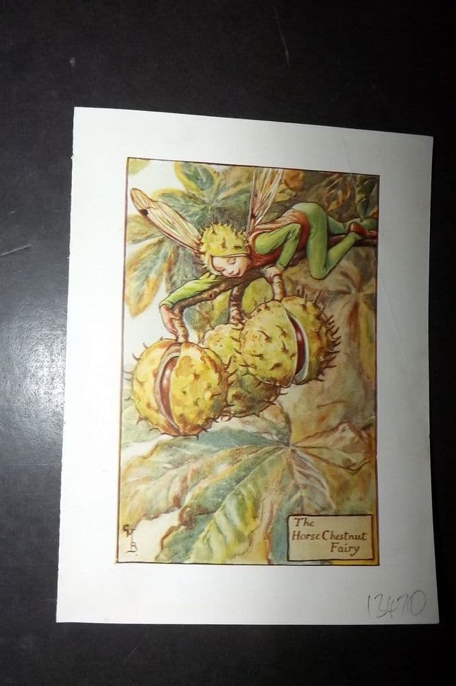 Cicely Mary Barker 1940 s Flower Fairy Print Horse Chestnut Fairy