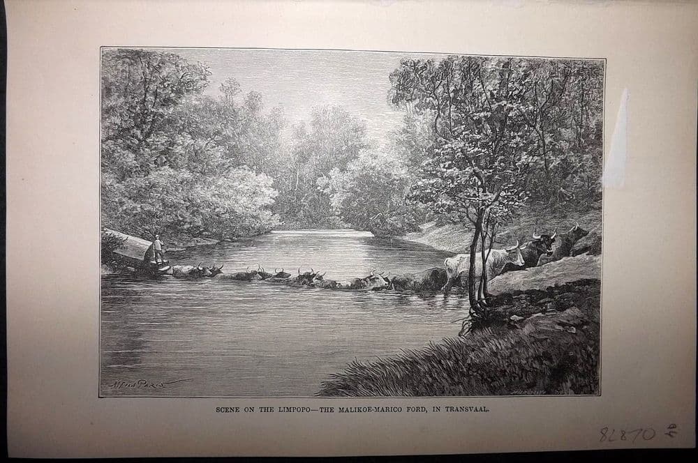 Reclus C1880 Scene on the Limpopo Malikoe-Marico Ford Transvaal South ...