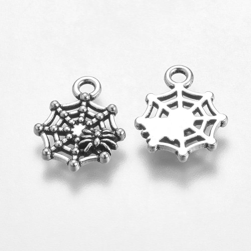 Spider on Web Silver Charms 5