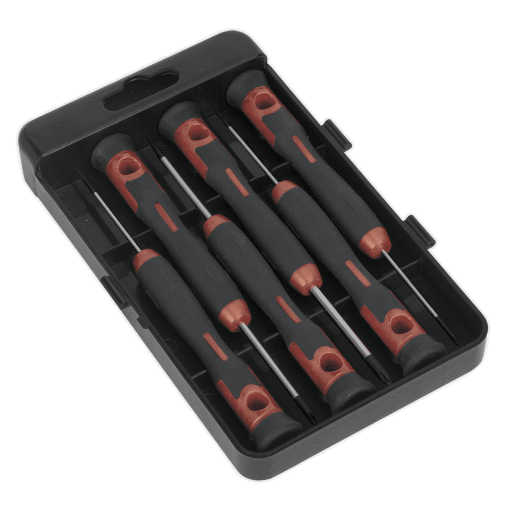 Precision Screwdriver Set 6pc