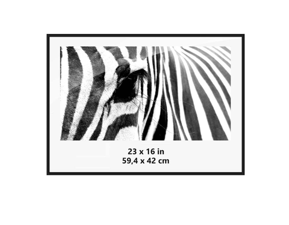 A2 23x16.5 inch Picture Poster Aluminium Frame. Elegant Art.