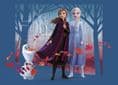 Frozen Small Premium wall murals | Buy it now