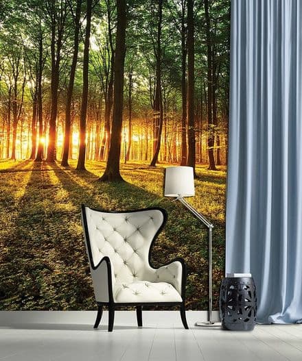 Green forest Scene feature wall wallpaper| Homewallmurals.co.uk