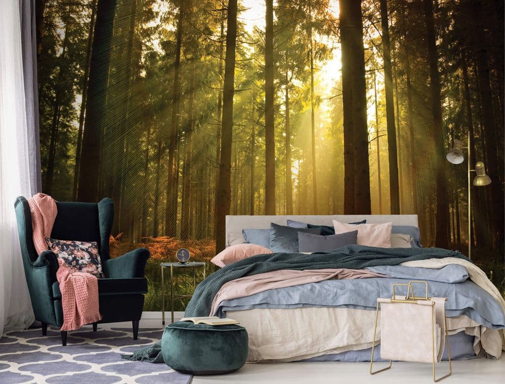 Wall mural photo wallpapers Forest scene| Homewallmurals Shop