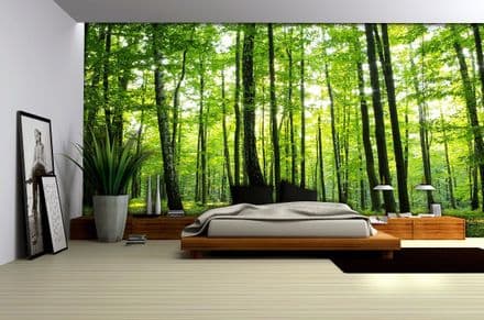 Forest wall murals