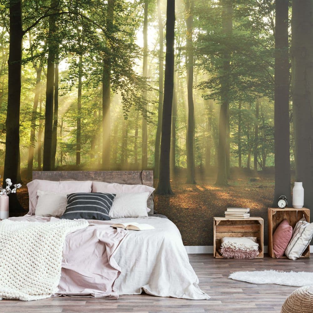 Sunny forest feature wall wallpaper| Homewallmurals.co.uk