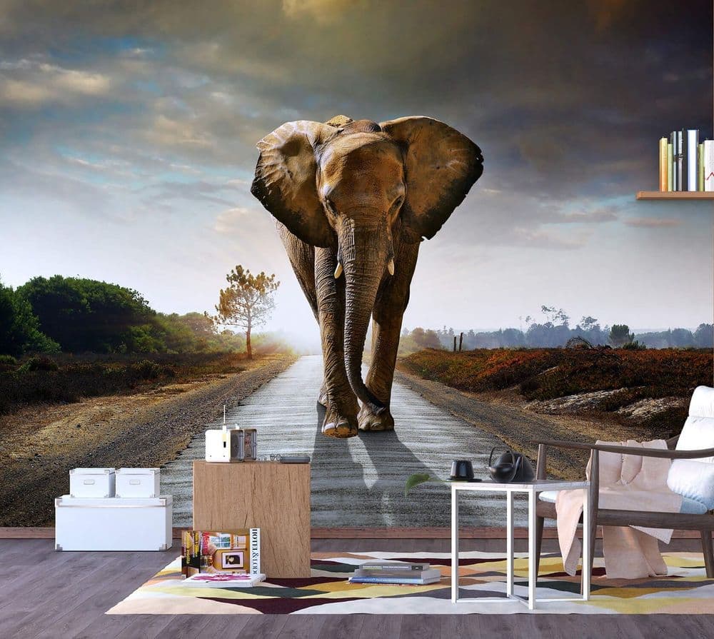Elephant Premium wall murals | Buy it now