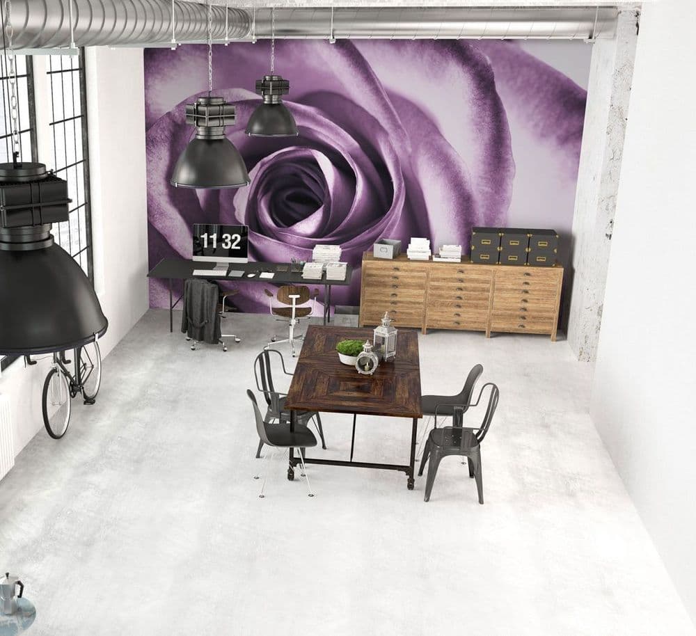 Rose wall murals | Homewallmurals.co.uk