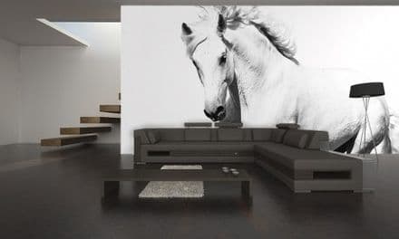 Animal Wall Murals