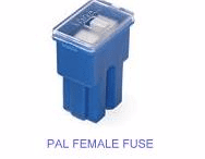 PAL FUSE FEMALE 20 - 100 Amp rating 32 x 22 25 x 15 00mm Standard size PAL