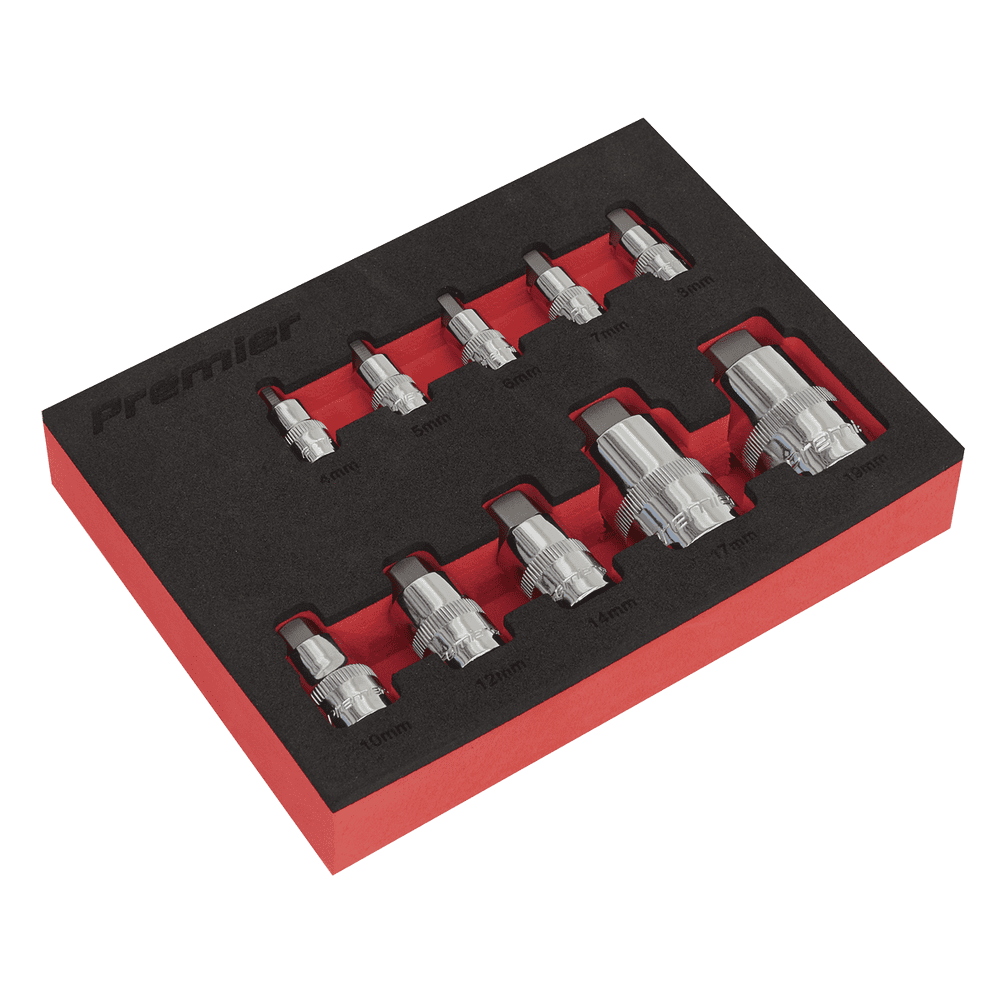 Hex Socket Bit Set 10pc Stubby 1/4", 3/8" & 1/2"Sq Drive