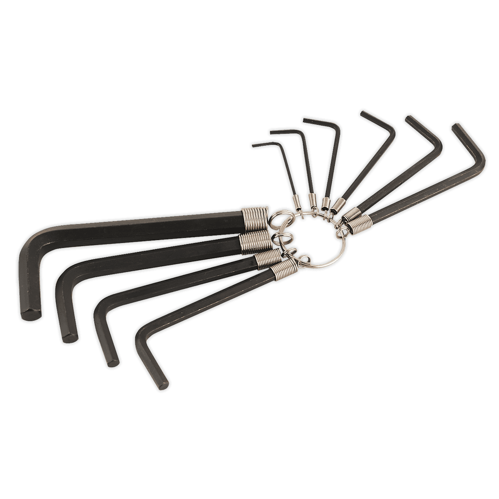 Hex Key Set on Ring 10pc Metric