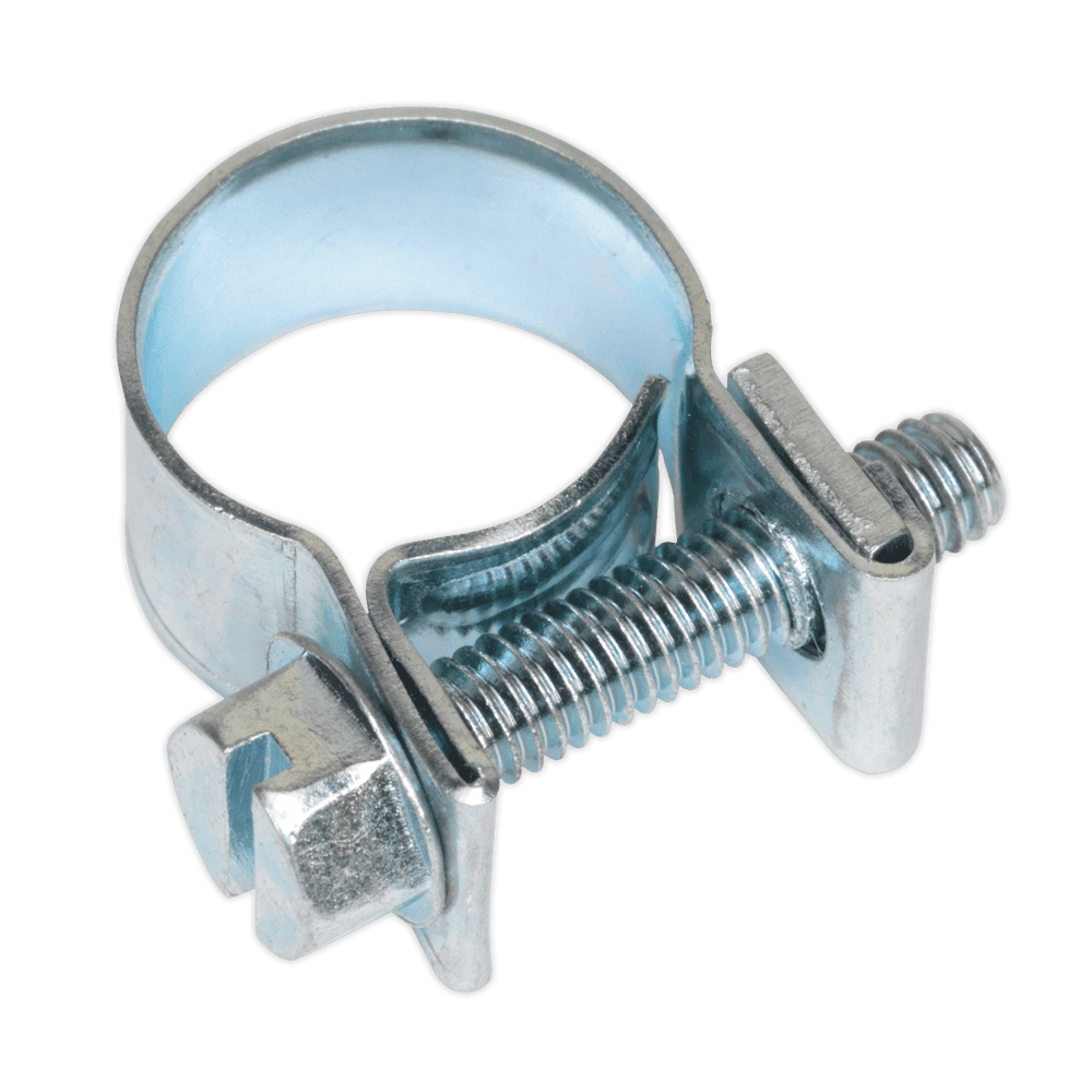 Mini Hose Clip Ø11-13mm Pack of 30