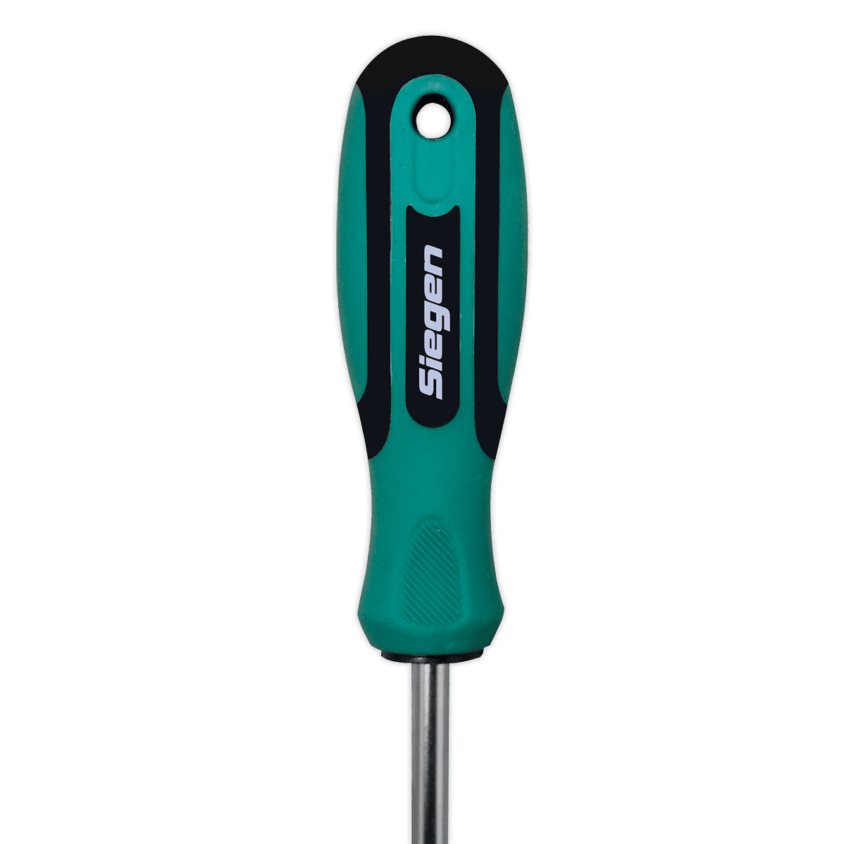 Screwdriver Pozi #2 x 100mm