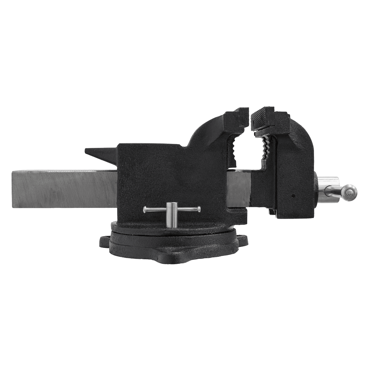 Industrial Vice 200mm SG Iron