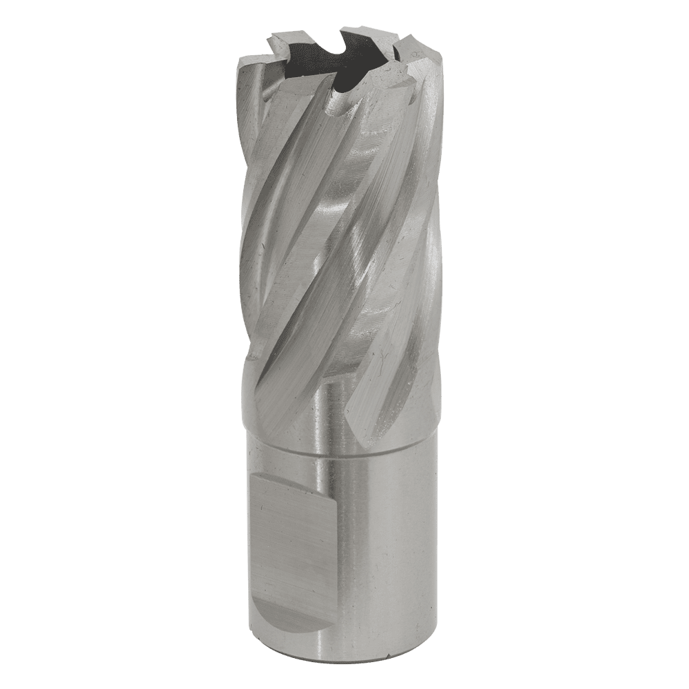 Rotabor Cutter HSS Ø20mm - Cut Depth 25mm