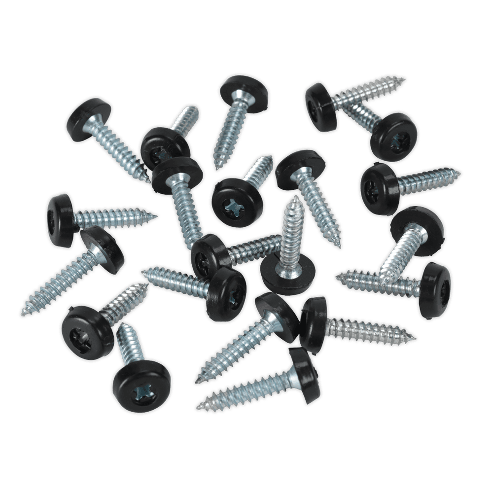 Numberplate Screw Plastic Enclosed Head 4.8 x 24mm Black Pack of 50