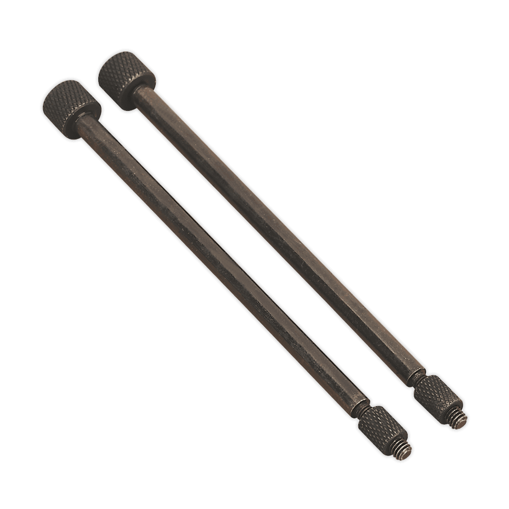 Door Hinge Removal Pin Ø5 x 110mm Pack of 2