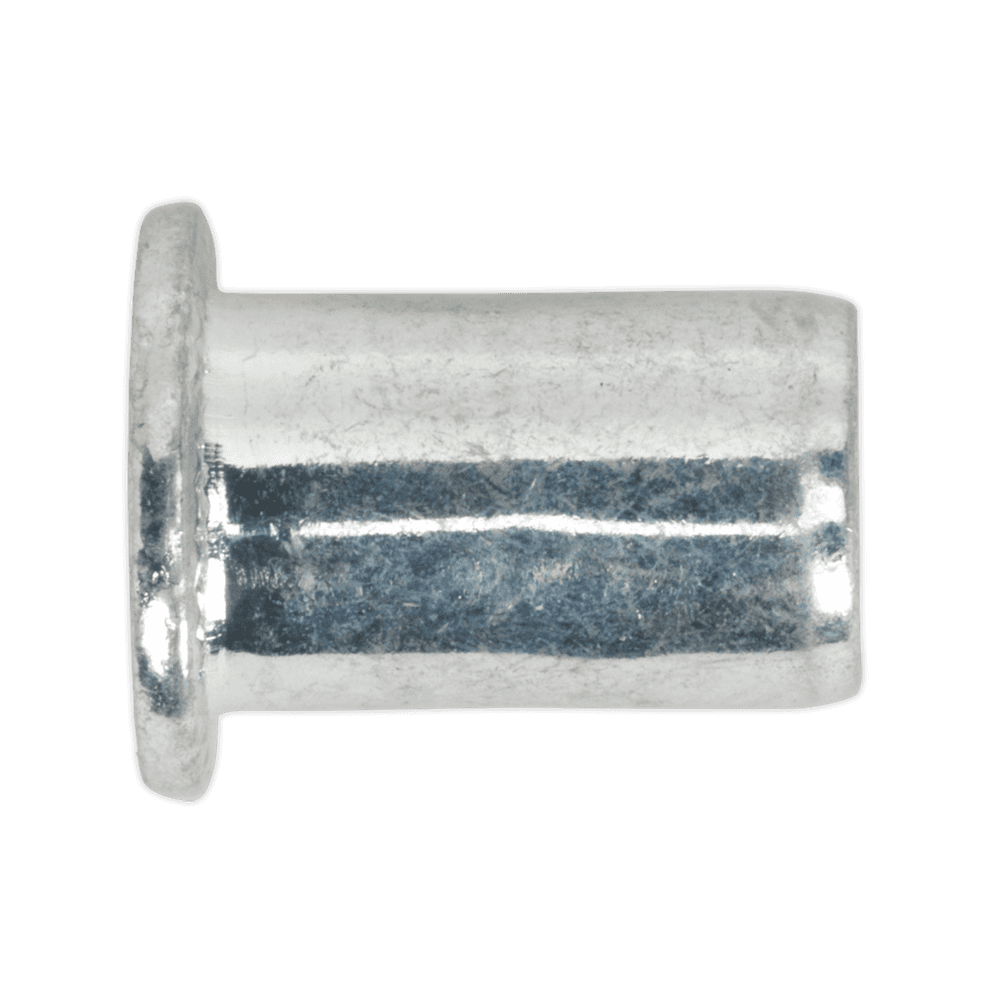 Threaded Insert (Rivet Nut) M10 Regular Pack of 50