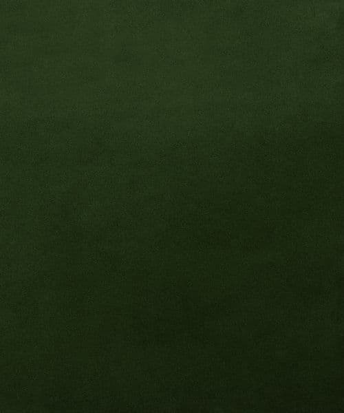 Green Velvet Fabric
