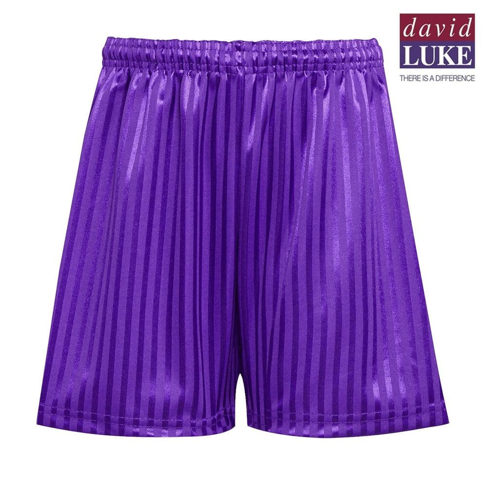 Purple Shadow Stripe Shorts