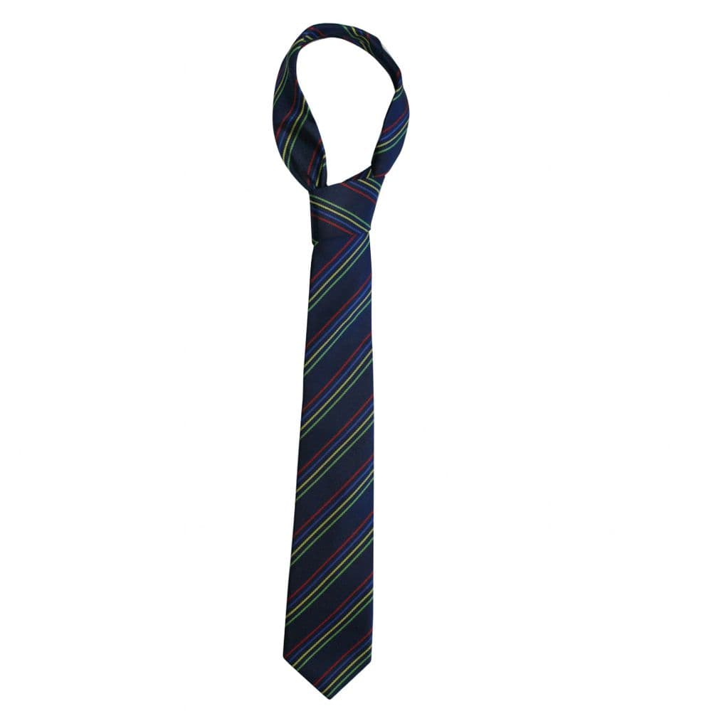 Sybil Andrews Academy Tie