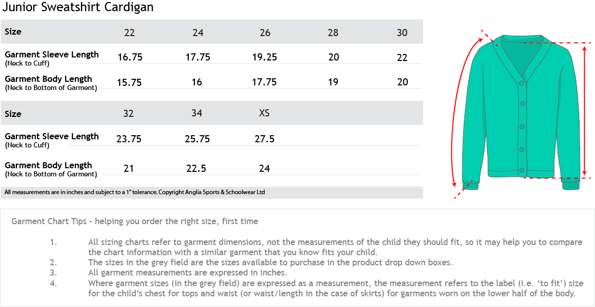 St Teresa s Primary School Cardigan