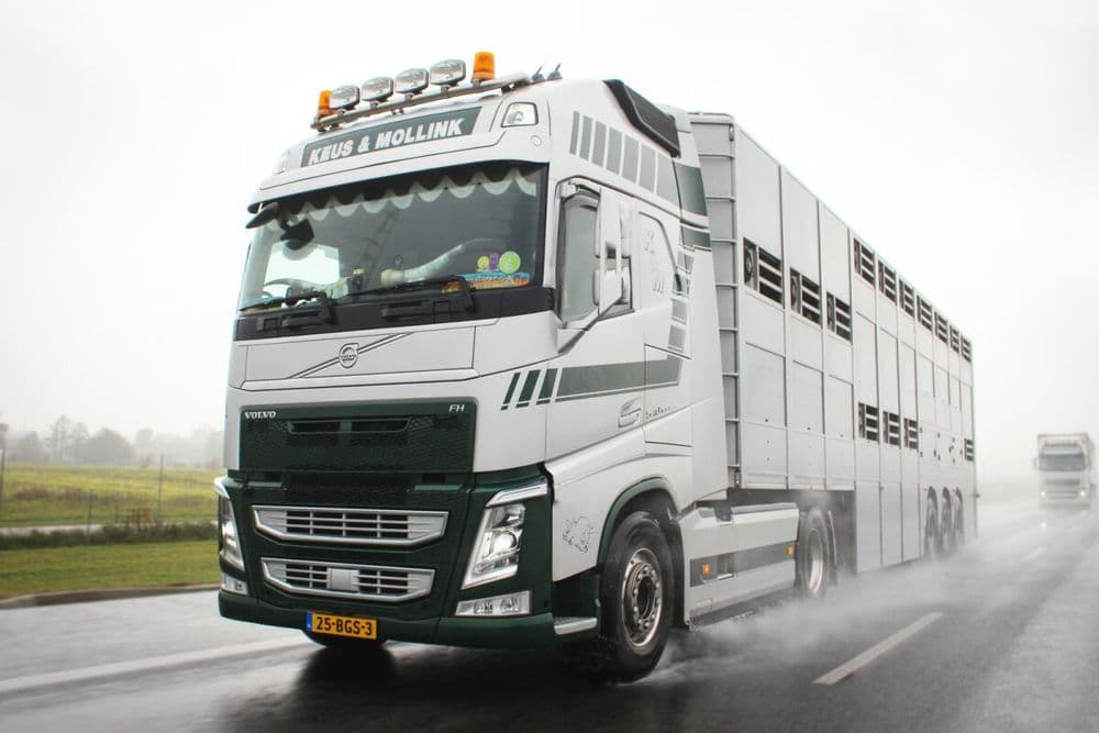 WSI Models Volvo Keus Mollink & x28; Pre Order& x29;