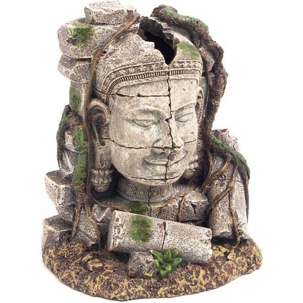 Blue Ribbon Ancient Stone Head Ruins