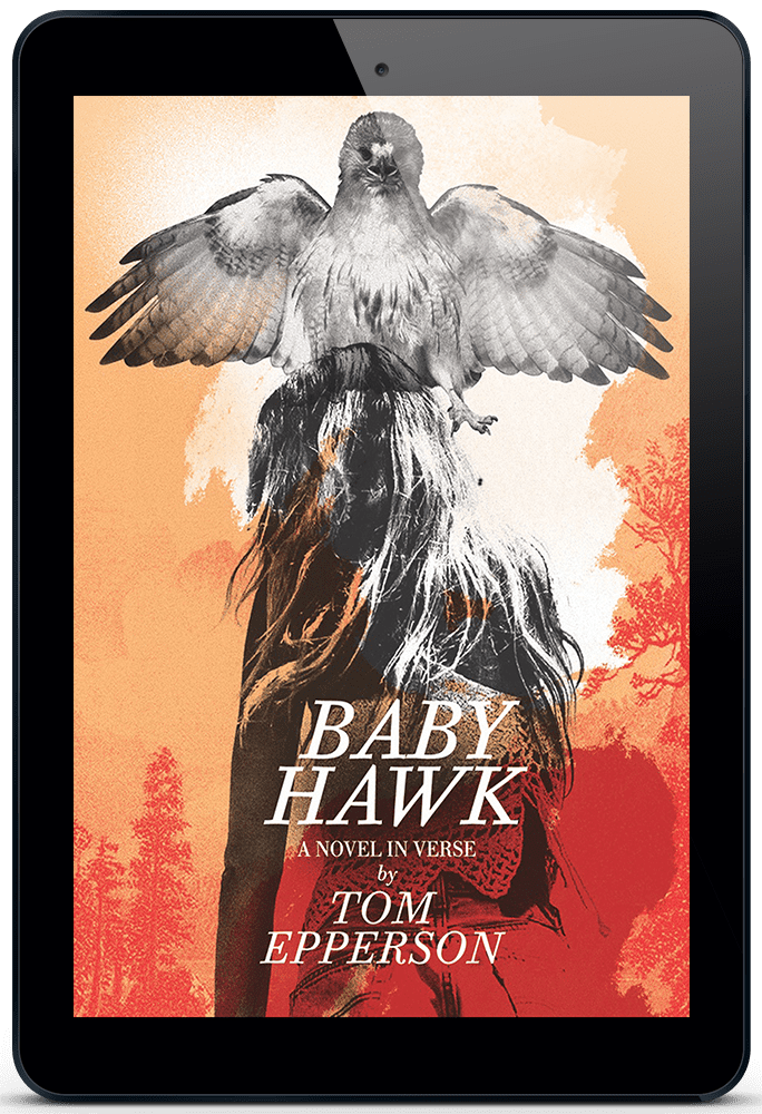 Baby Hawk A Novel in Verse eBook by Tom Epperson