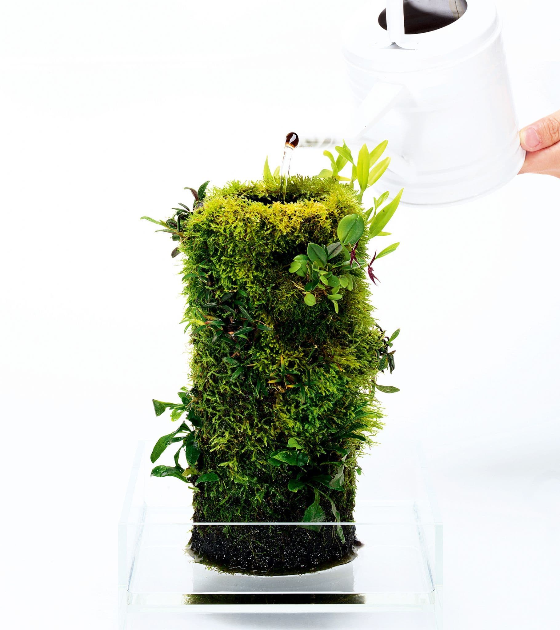 ADA DOOA Terra Base S