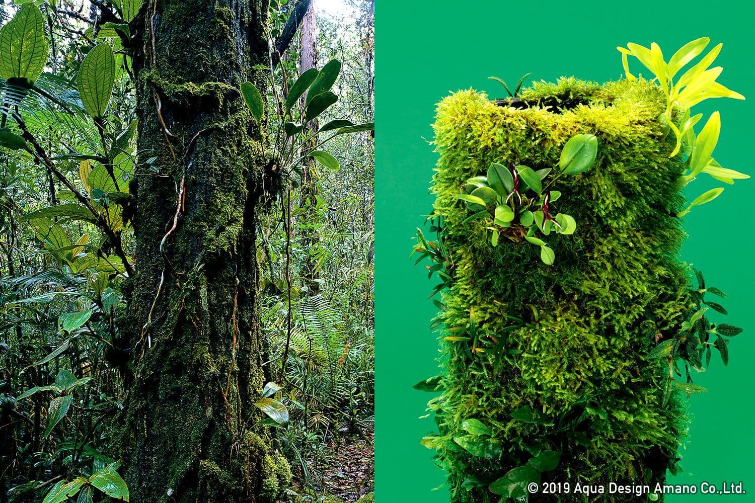 ADA Terra Base M Neo Glass Air Kit