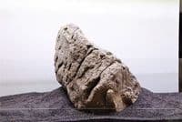 Frodo Stone per KG