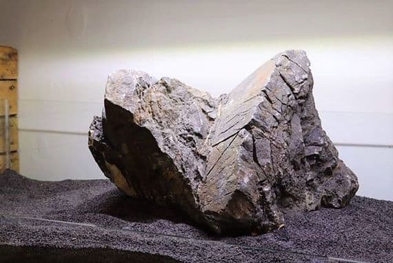 Frodo Stone per KG